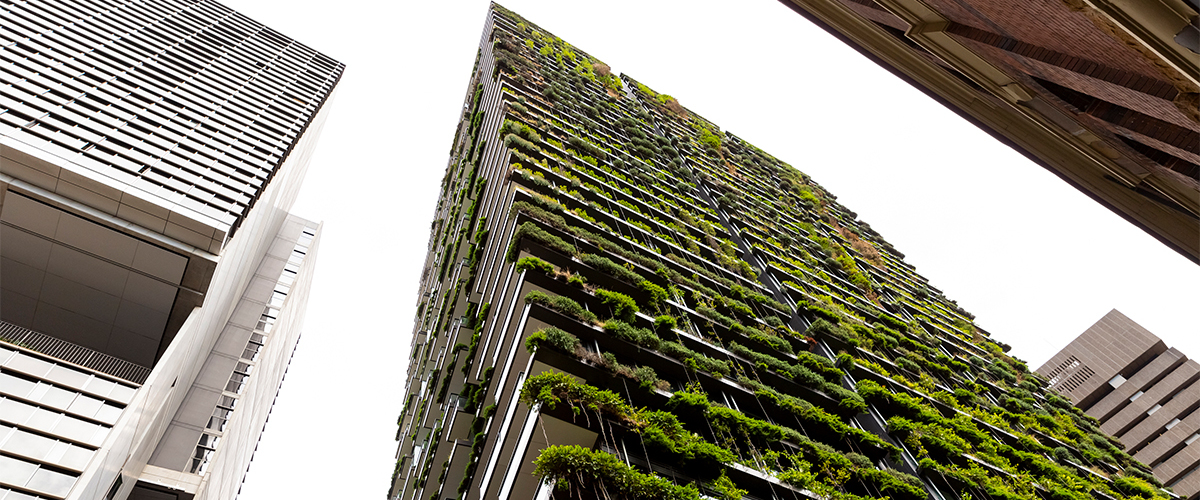 Klimaschutz: Frankfurt ist Deutschlands Green Building-Hauptstadt