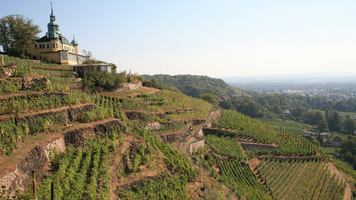 Städte-Steckbrief Radebeul